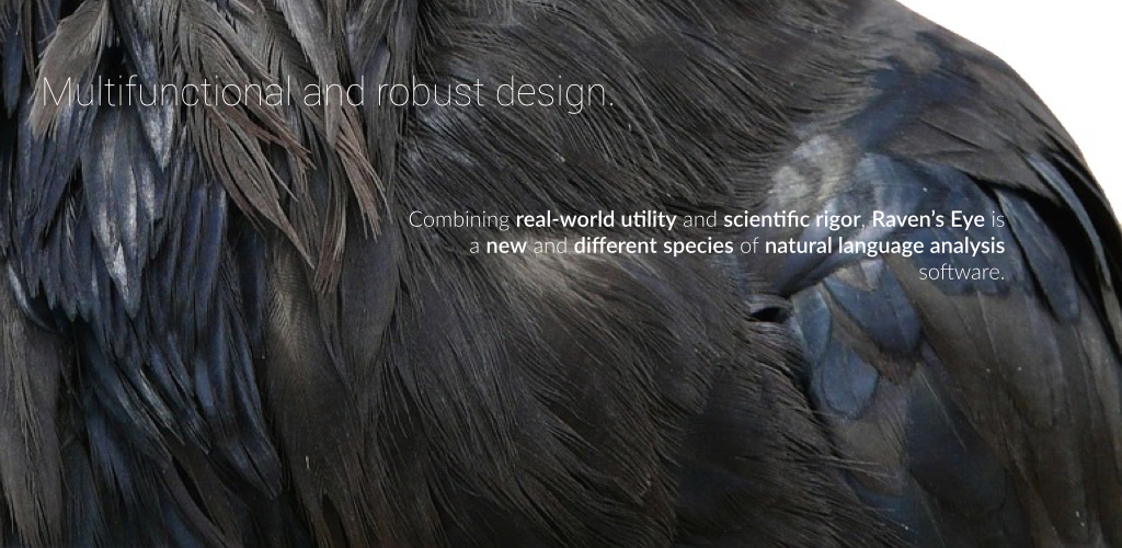 Raven's Eye | Automatic natural language analysis
