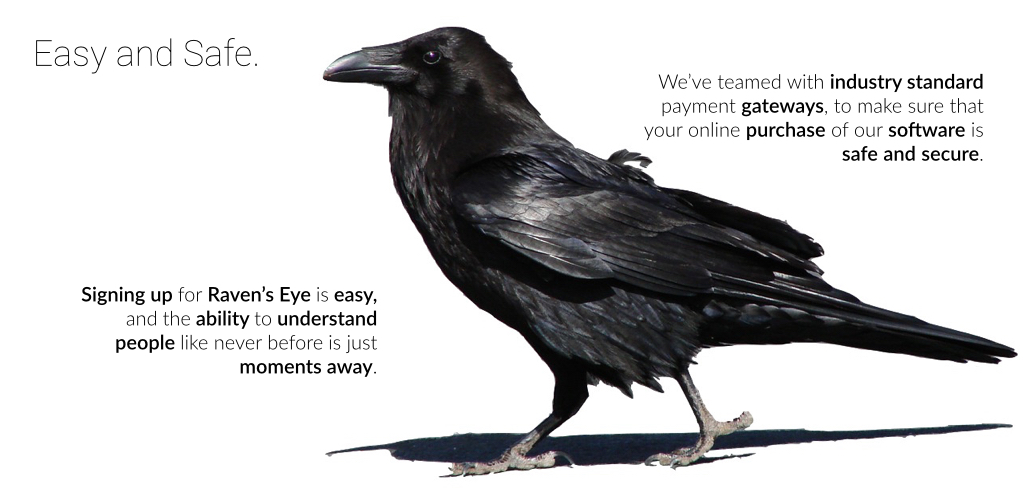 Raven's Eye: Automatic natural language analysis